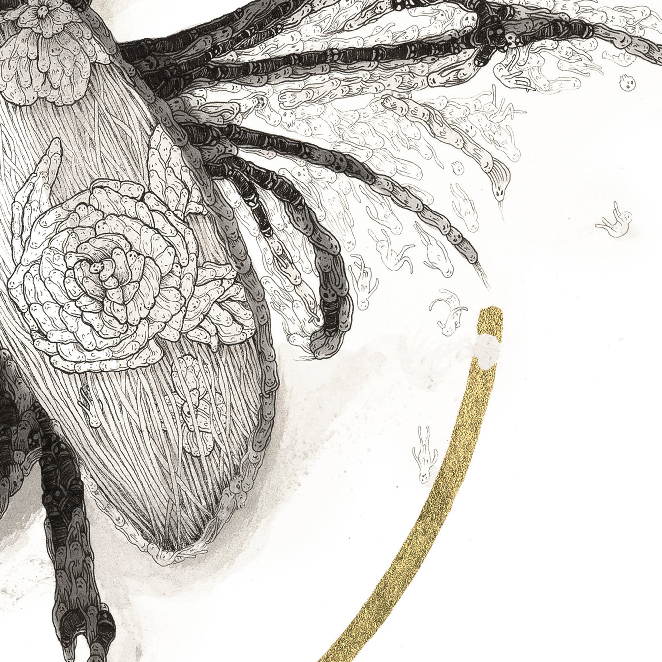 Open media 4 in modal